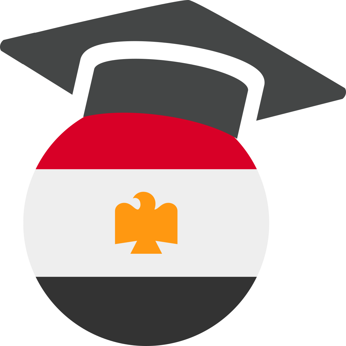 2025 Aâ€“Z list of all 60 Universities in Egypt