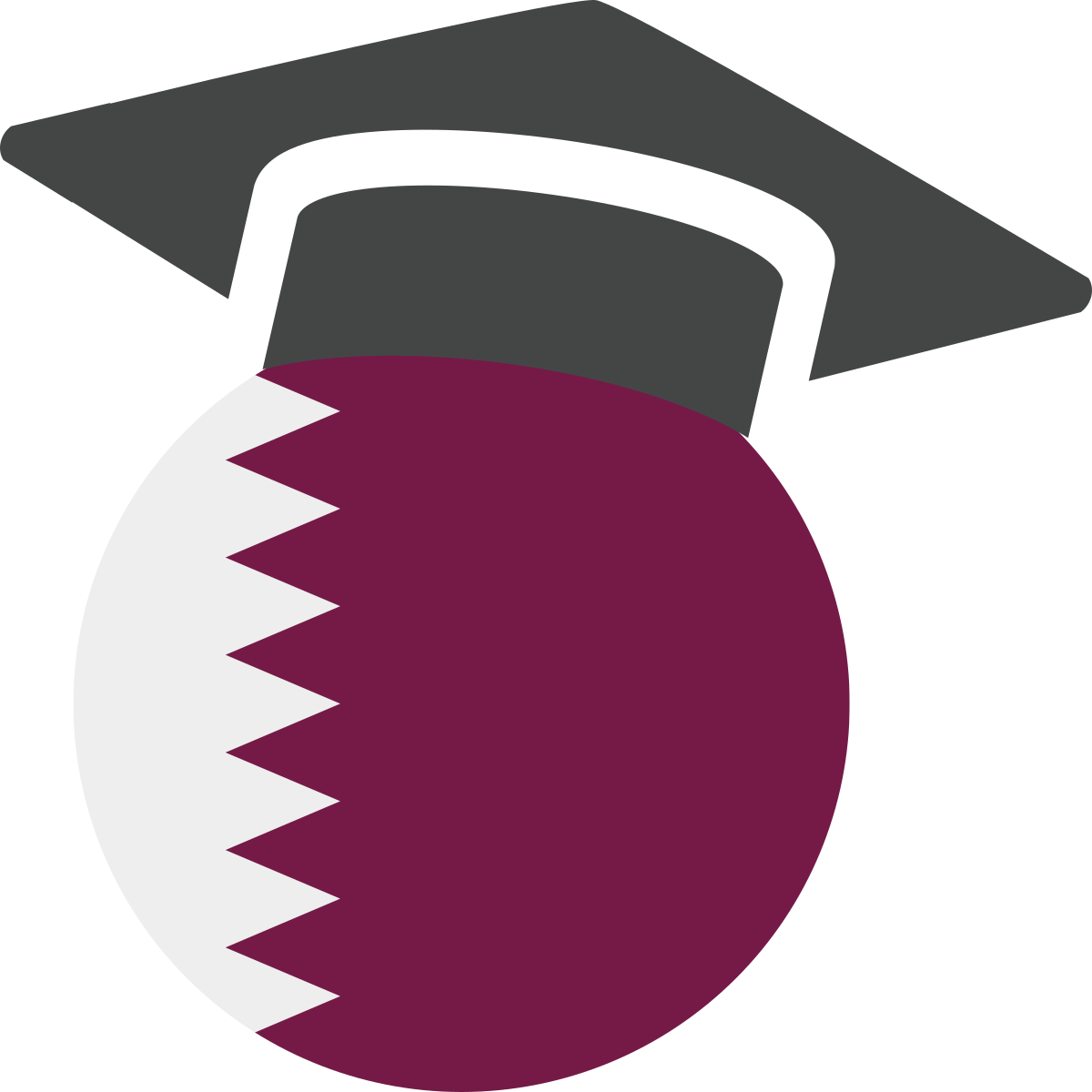 Top Universities in Qatar | 2025 University Rankings