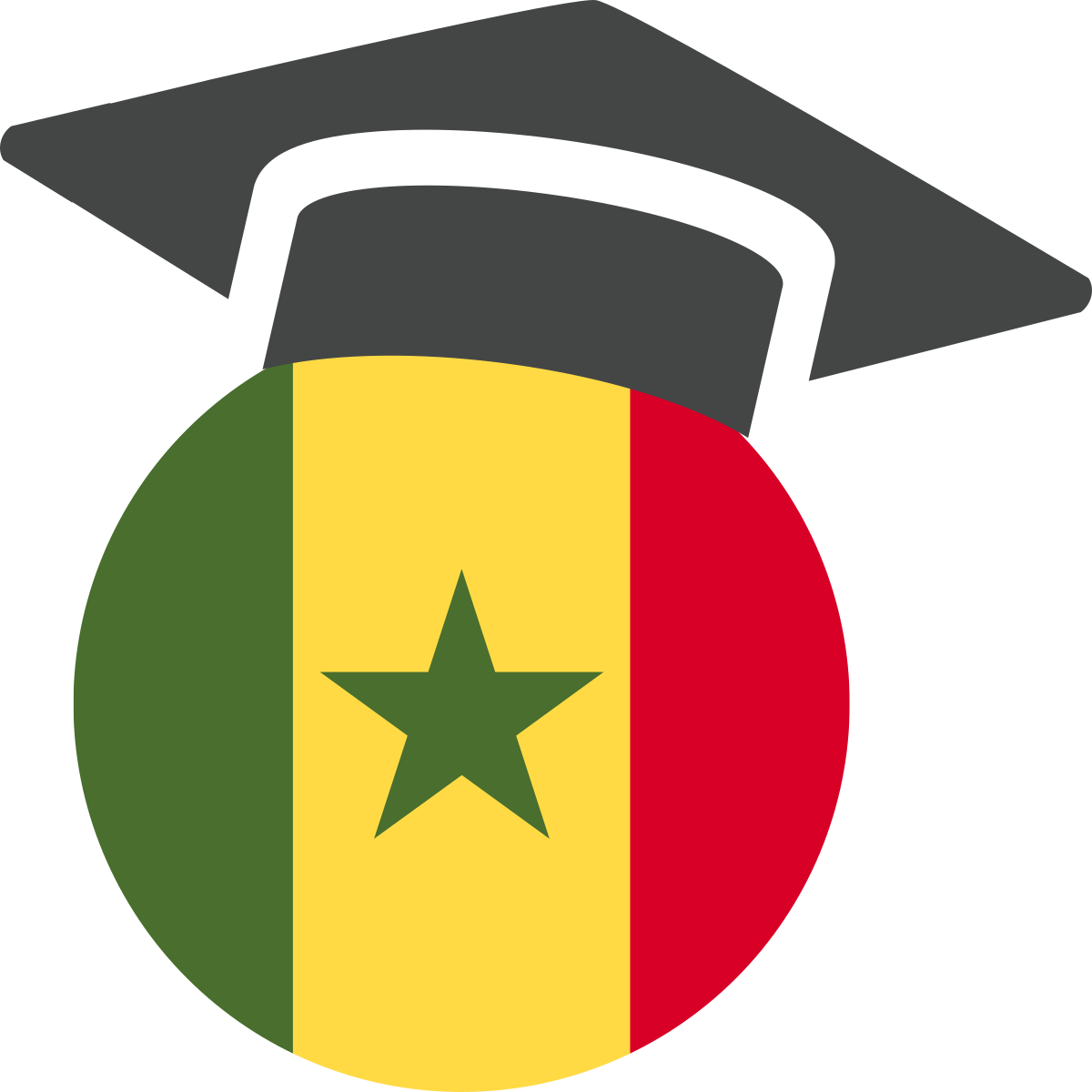 Universities in Senegal | Rankings and Overview
