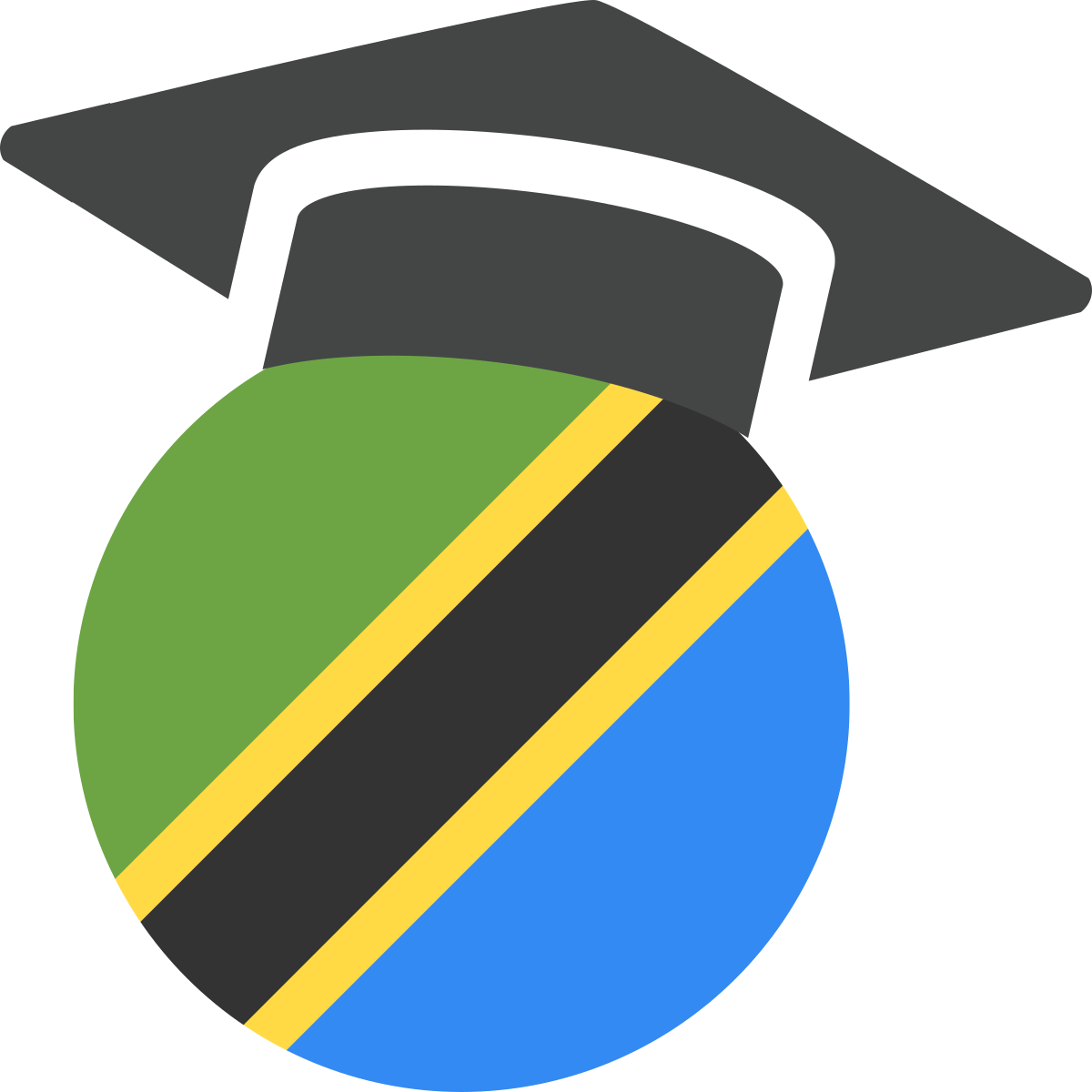 Top Universities in Mwanza | 2025 University Ranking